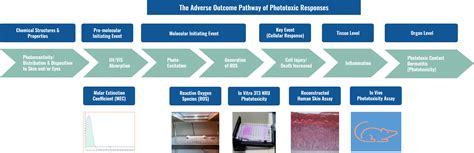 In Vitro Toxicology • Wuxi Apptec Lab Testing Division