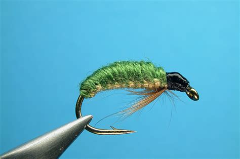 Polish Woven Nymph Caddis Larva