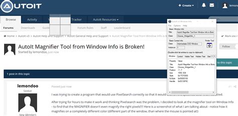 Autoit Magnifier Tool From Window Info Is Broken Autoit General Help