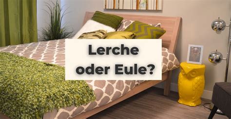 Lerche Oder Eule Wie Gut Schläfst Du Blog Energie Im Alltag