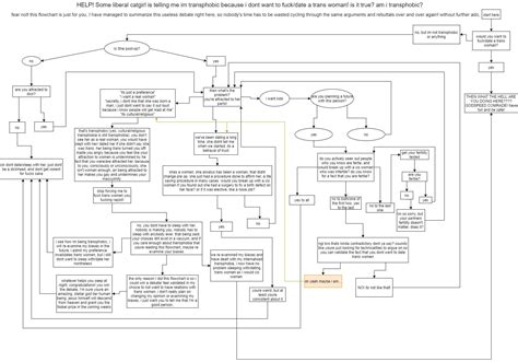 My Friend Made A Flowchart For Arguments With Super Straight People