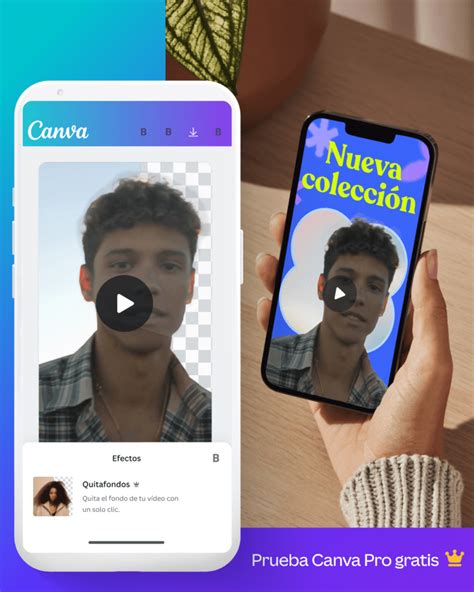 Los Mejores V Deos De Camara Oculta Banco De Im Genes Gratis V Deos De Archivo De Pexels