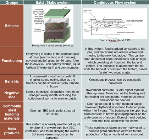 Vermicomposting Meaning Vermicomposting Meaning