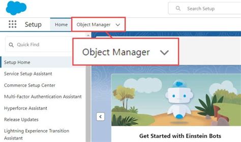 Salesforce VALUE Function