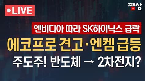 쩜상 시크릿 엔비디아 따라 Sk하이닉스 급락 에코프로비엠·엔켐으로 코스닥 견고 반도체에서 2차전지로 수급 바뀌나 Youtube