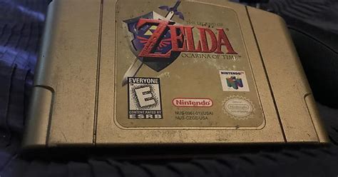 My Beautiful Fossil Album On Imgur