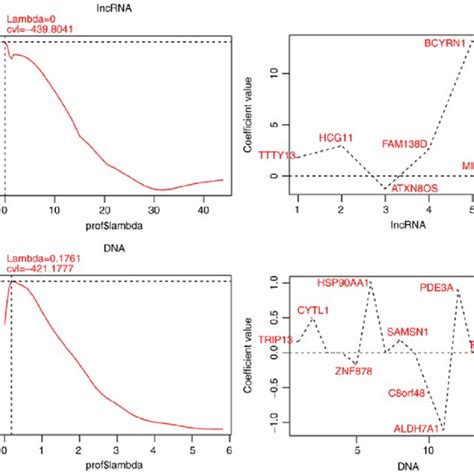 Graphs For Selection Of The Lambda Parameter And Coefficient