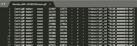 O Lurida Gtf Annotation File For Star Aligner · Issue 926