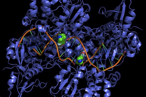 Les Fluoroquinolones Antibiotiques Disponibles Depuis Plus De Trente
