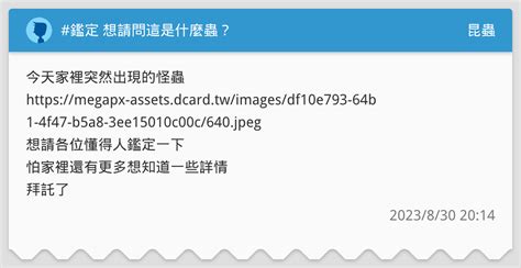 鑑定 想請問這是什麼蟲？ 昆蟲板 Dcard