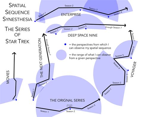 The Synesthesia Tree Spatial Sequence Synesthesia