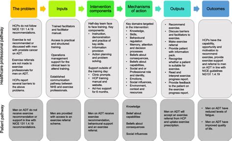 logic model of the healthcare professional and patient intervention