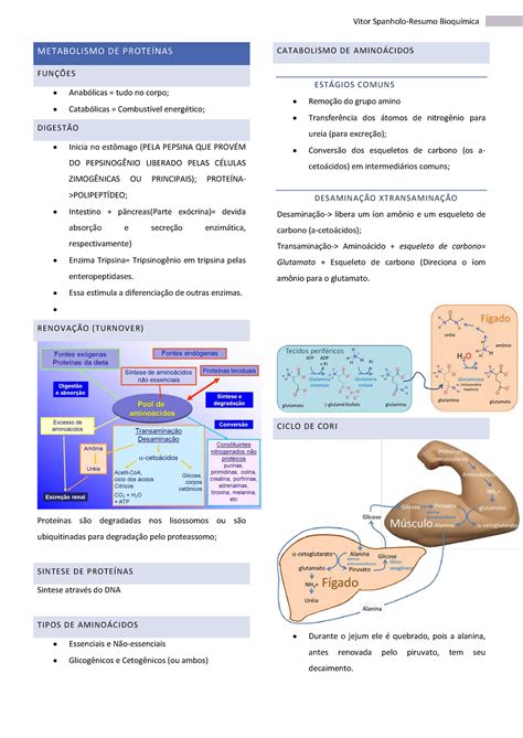 Bioquímica Pt1 Warning Tt Undefined Function 32 Warning Tt Undefined Function 32 M