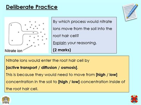 AQA GCSE Cell Transport Diffusion Osmosis Active Transport Teaching Resources