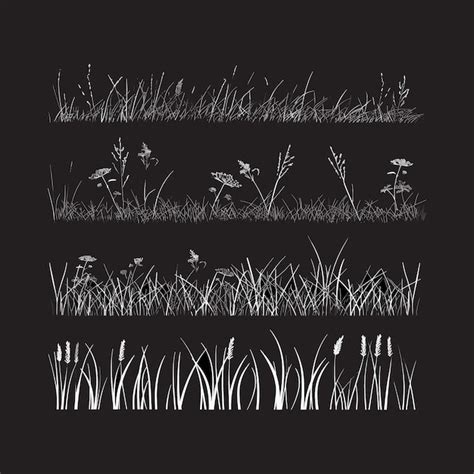 Page 17 Black Grass Stages Images Free Download On Freepik