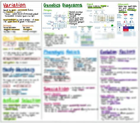 Solution Ocr A Level Biology Patterns Of Inheritance And Variation