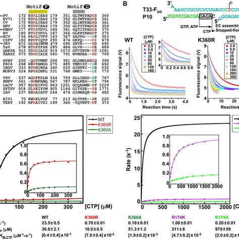 x ray diffraction data collection and structure refinement statistics