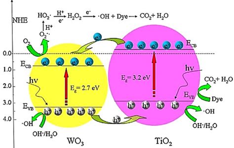 Proposed Mechanism Of Dye Degradation In Visible Light By WO TiO Download Scientific Diagram