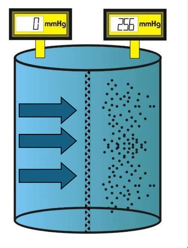 Lab Midterm Exam Flashcards Quizlet