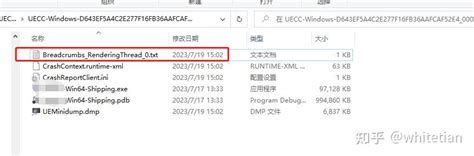 一些UE5引擎开发过程中的Crash问题 知乎