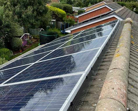 Solar Panel Protection Defender Pest Control