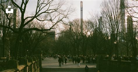 계단을 내려가는 사람들의 그룹 사진 Unsplash의 무료 식물 이미지 계단을 내려가는 사람들의 그룹 사진 Unsplash의 무료 식물 이미지