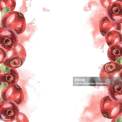 빨간 크랜베리 수채화 배너 복사 공간 수채화 스플래쉬에 손으로 그린 카우베리 프레임 계절 메뉴 포장 카드 초대 디자인에 대한 숲 베리 테두리 가을에 대한 스톡 벡터 아트 및