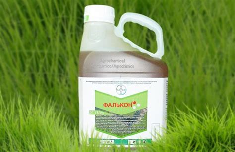 Фунгициды для винограда: какой выбрать, топ 9 лучших, лечение