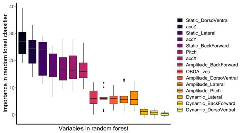 Analysis Of Accelerometer Data Using Random Forest Models To Classify The Behavior Of A Wild
