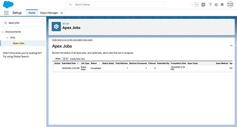 How To View Apex Batch Class That Was Executed