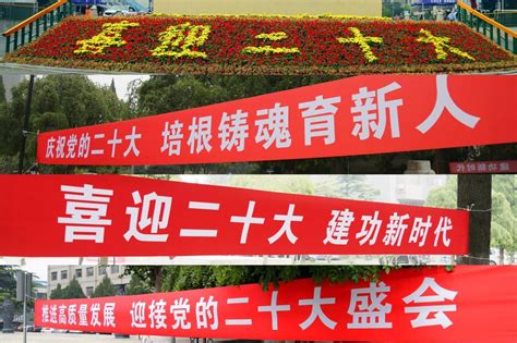 我校师生热议党的二十大报告（一） 山东财经大学新闻网