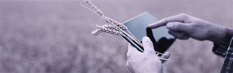 Kett Inline Nir Moisture Analyzer Model Kb 30