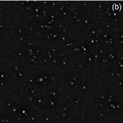 Particle Analysis With The Software Package Fiji Imagej Of
