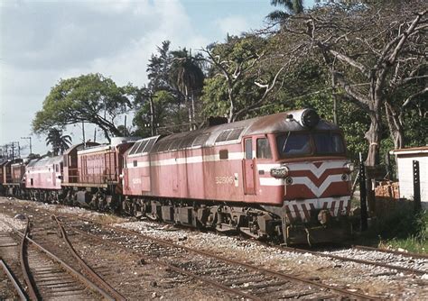 Photograph Collection Of Webmaster