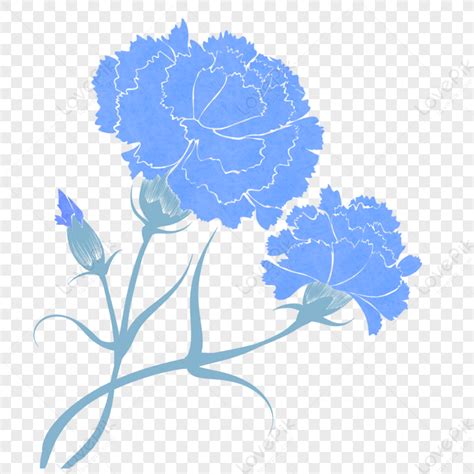 카네이션 꽃다발 어머니의 날 선물 블루부케신선한 꽃