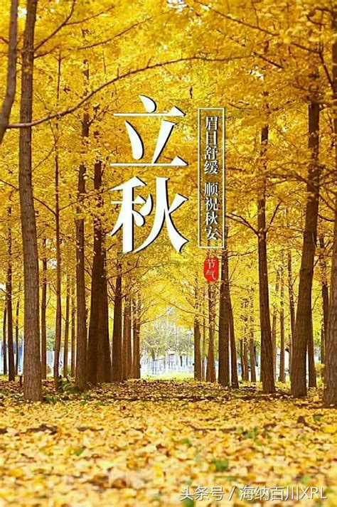 今日立秋秋高氣爽祝大家立秋快樂平分秋色 每日頭條