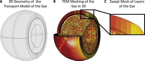 Finite Element Model Meshing Of The Model Geometry A 3d Geometry Of Download Scientific