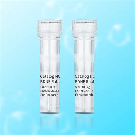 Goat Anti Rabbit Antibody Bsab 15d Biostring