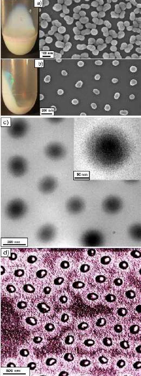 Figure 1 From Thermoresponsive Colloidal Molecules Semantic Scholar