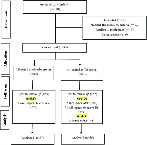 Assignment And Progress Of Participants In The Study Download