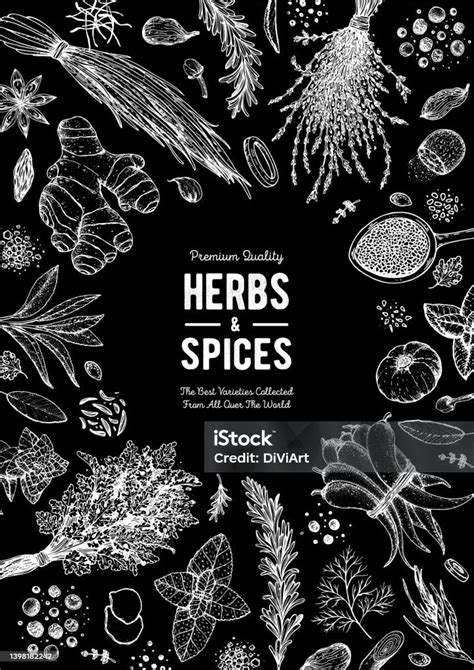 허브와 향신료 손으로 그린 벡터 일러스트레이션 향기로운 식물 손으로 그린 음식 스케치 빈티지 일러스트레이션 카드 디자인 스케치 스타일입니다 향신료와 허브 흑백 디자인 강황에