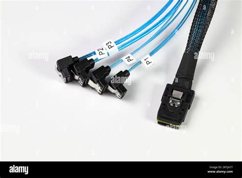 Mini SAS To SATA Serial ATA Convert Cable Blue With 90 Degree Target Isolate On White