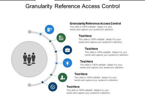 Granularity Reference Access Control Ppt Powerpoint Presentation Icon Show Cpb Presentation