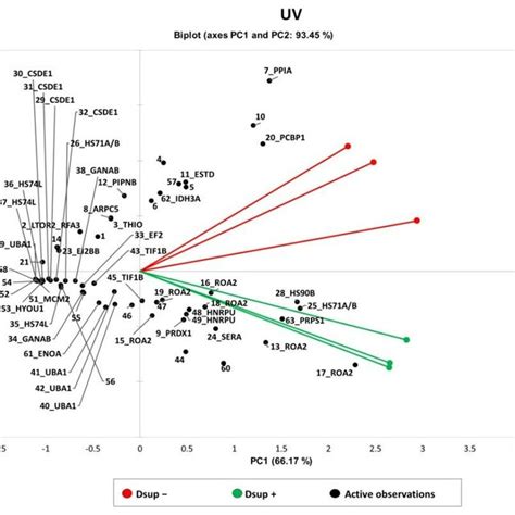 A Heatmap Analysis Of The Differential Spots Found By Proteomic Download Scientific Diagram