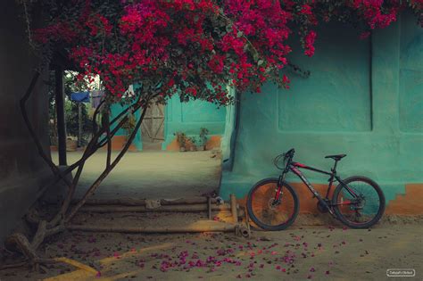Koushik Saha
