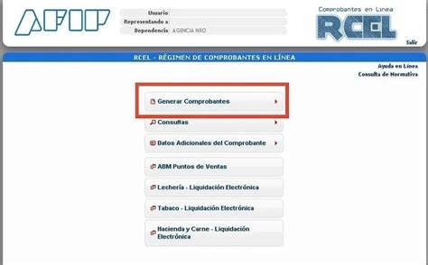 Consultar Estado De Cuenta Y Comprobantes En Línea Afip