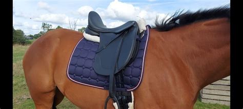 Veilinghuis Online Kavel Details Paarden Zadel