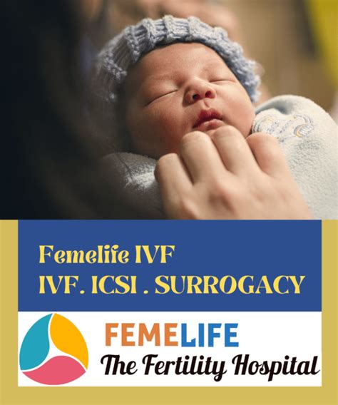 Difference Between Anomaly And Ultrasound Scan Femelife Ivf