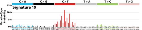 Signatures Of Mutational Processes In Human Cancer