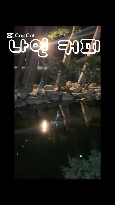 강릉미용실💈make A Flow💈레이어드펌 혼주메이크업 올림머리 허쉬컷전문 강릉미용실정수리맛집미용미용인헤어디자이너 Instagram